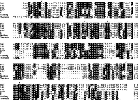 Multiple Sequence Alignment Of Subtilisins Ssii 10 S41 12 S39 Download Scientific Diagram