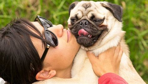 40 Most Popular Breeds For Women Best Dog Breeds Dog Breeds Dog Facts