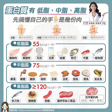 「1份肉」怎麼算？ 營養師揭密：攝取這種蛋白質更健康 鏡週刊 Mirror Media