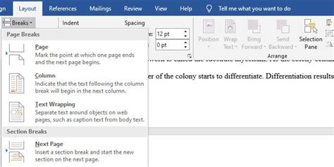 How To Number Your Microsoft Word Document