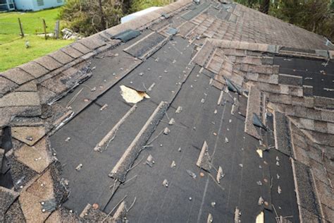 Florida Roof Tree Damage Risks Prevention Tips