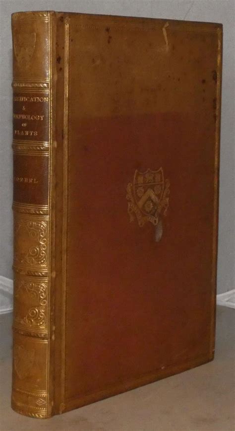 Outlines Of Classification And Special Morphology Of Plants A New Edition Of Sachs Text Book