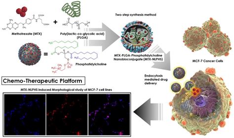 The Figure Depicting The Schematic Representation Of Nanohybrid System