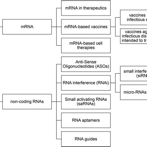 Classification Of Rna Based Drugs Download Scientific Diagram