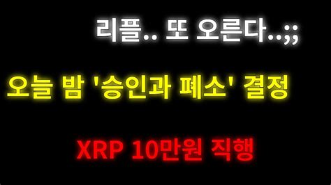 리플 Xrp 오늘 밤 10만원 바로 상승 다음 주는 리플코인 리플전망 리플호재 리플분석 리플대응 리플목표가