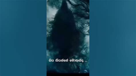 බය කියන්නෙ මොකක්දවනගත භික්ෂුන් වහන්සේ නමකගේ දුර්ලභ දේශනාවක් Youtube