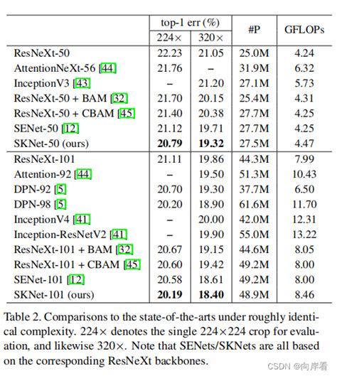 Selective Kernel Networks论文总结和代码实现sknet论文 Csdn博客