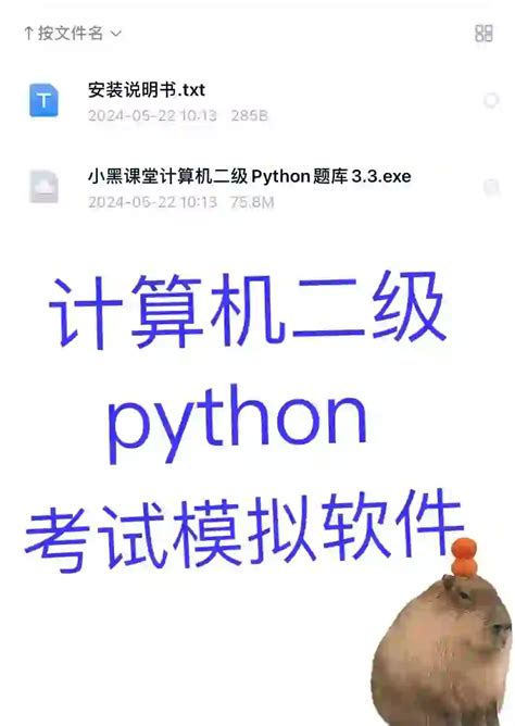 计算机二级python考试模拟软件 夜雨聆风