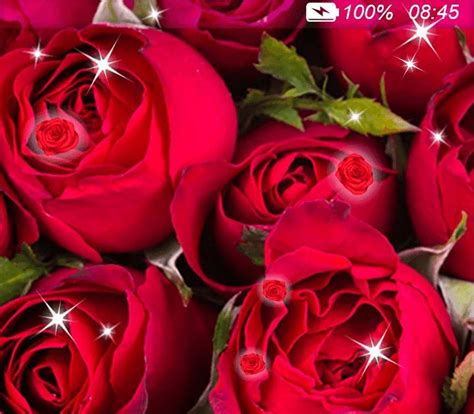 Fantastis 22 Wallpaper Bunga Bagus Gambar Bunga Indah