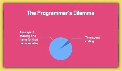 The Programmers Dilemma Biblipole