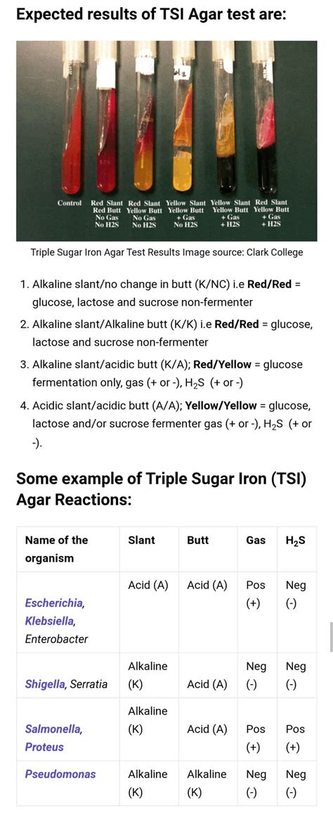 Tsi Slant Interpretation Chart1 Laboratory Approach To Etiological