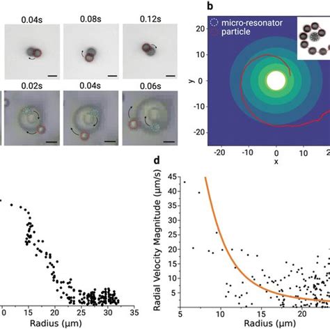 Rotational Motion And Aggregation Around A Single Micro‐resonator A
