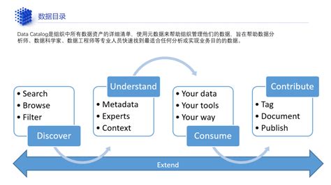 数据标准和数据质量：技术解析与典型案例