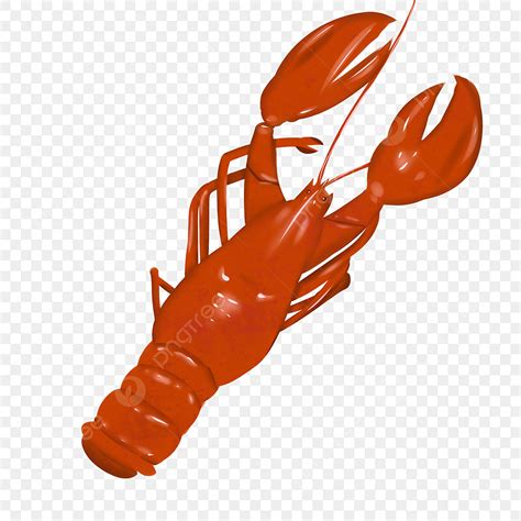 해산물 붉은 바다 일러스트 가재 음식과 음료 빨간색 랍스터 클립 아트 해물 붉은 랍스터 Png 일러스트 및 Psd 이미지 무료 다운로드 Pngtree