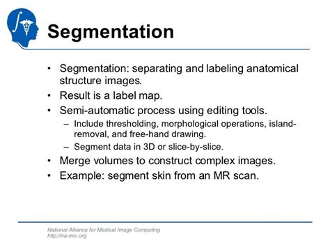 Manual Segmentation 3747