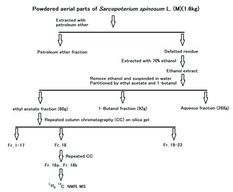 Extraction Fractionation And Column Chromatography Separation Of The