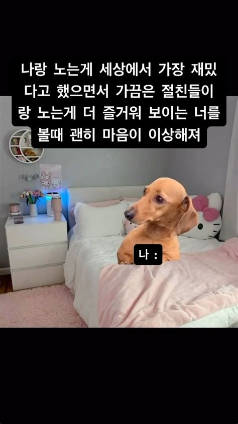 잼뚜기 아직 더 놀고싶어엉🥹🥹 팔로우and좋아요 하고 더 재밌는 소식 받으세요 👀 Jam Ddukki 유머 유머짤 밈 재밌다 Instagram