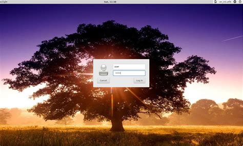 Exlight 64bit Build 171121 Based On Debian Bustersid With