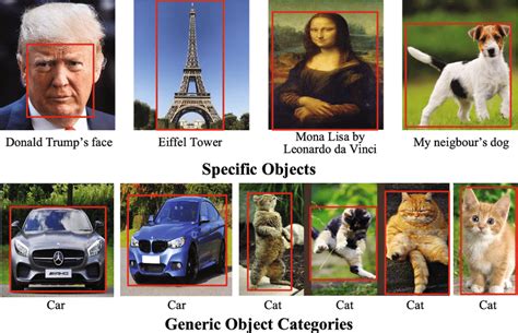 object detection includes localizing instances of a particular object