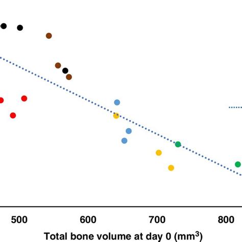 Percentage Of New Bone Formation From Each Allograft Lot Is Inversely