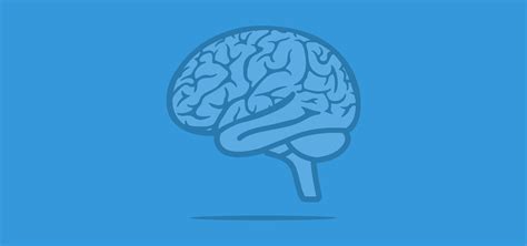 Neurological Examination Oxford Medical Education