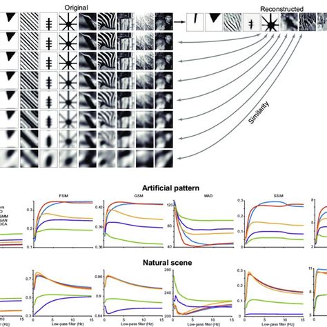 Frequency Low Pass Filter And V1 Neural Decoding A Illustration Of