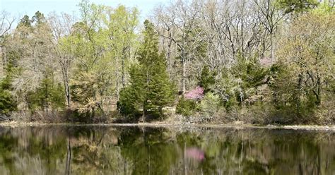 Urban Wildlife Guide Pine Barrens Today