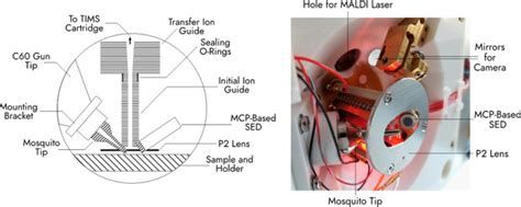 Overcoming The Challenges Of Spatial Proteomics