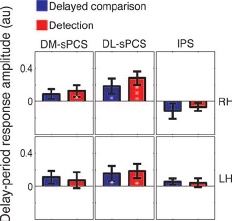 Delay Period Activity Delay Period Response Amplitudes Were Averaged Download Scientific