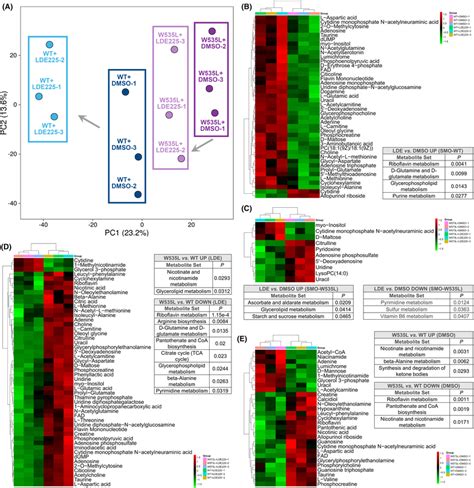 metabolomic analysis on mb cells with smowt or smow535l a pca on