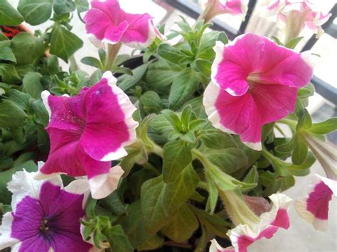 It Takes Courage To Grow Up And Become Who You Really Are — Moumita Das