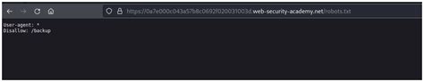 portswigger source code disclosure via backup files sin burpsuite