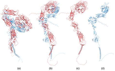 Figure 6 From Molecular Modeling Insights Into The Structure And Behavior Of Integrins A Review