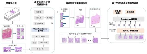 基于病理组学深度神经网络模型的免疫治疗疗效预测方法