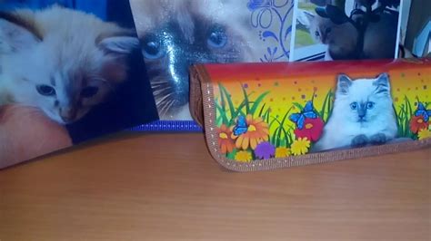 Что нужно купить перед появлением котёнка в доме Youtube