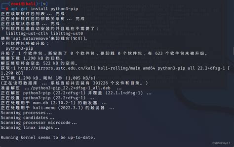 Docker搭建vulhub漏洞环境docker Vulhub Csdn博客