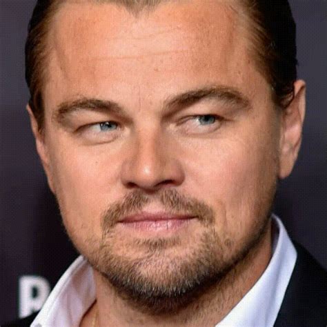 Mfw The Same Fly Has Been Flying Around My Room For Hours After Several Failed Attempts To