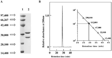 Figure 1 From Nitrile Hydratase Involved In Aldoxime Metabolism From Rhodococcus Sp Strain Yh3
