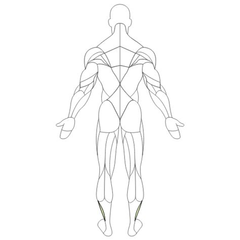 How To Do Plank Jacks With Perfect Form And Tips From Expert