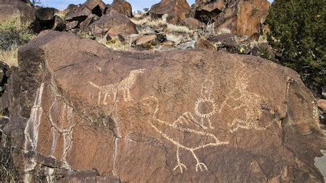 daniel whiteman posted on linkedin