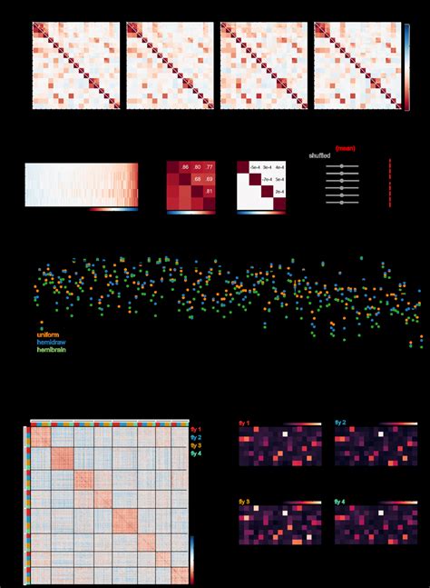 MB Representational Space Is Structured And Invariant Across