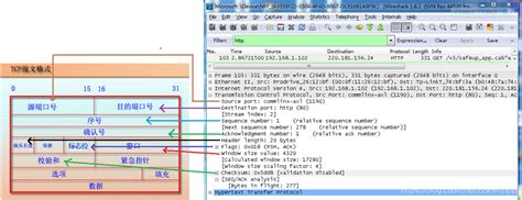 网络分析工具——wireshark的使用（超详细）零基础入门到精通，收藏这篇就够了 Csdn博客