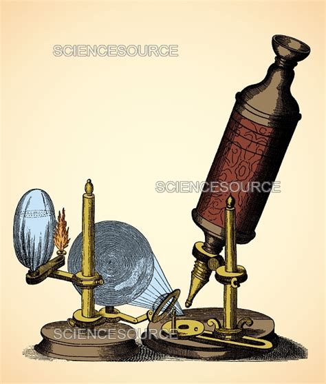 Robert Hooke Microscope 17th Century Stock Image Science Source Images