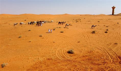 Saudi Border Guards Kill Hundreds Of Ethiopian Migrants Hrw Middle