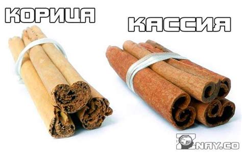 Палочки корицы: как использовать эту приправу? Куда они применяются?