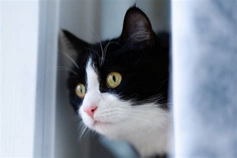 【4月分から年金は1 9 増額】振込はいつ？金額はいつ分かる？《年金一覧表》厚生年金・国民年金「60歳～90歳以上」年齢別の平均額も丸わかり