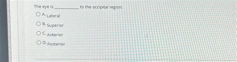 Solved The Eye Is To The Occipital Region A LateralB Chegg Com