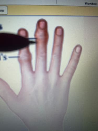 Unit 2 Flashcards Quizlet Unit 2 Flashcards Quizlet