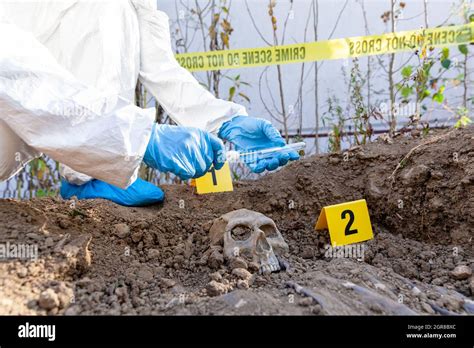 Forensic Science Dna