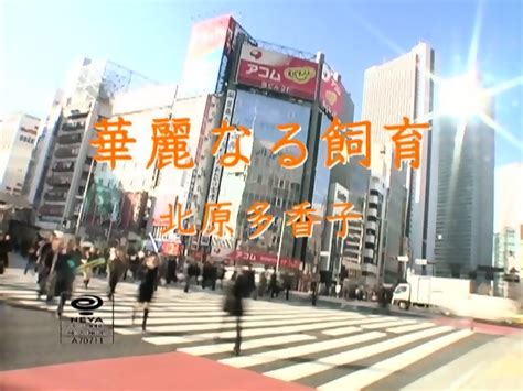 Srxv 536 Animal Training With Style Takako Kitahara Eporner